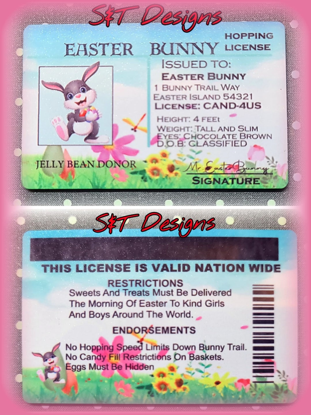 Easter Bunny Hopping License - Etsy