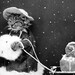 Santa Cat Vintage Photo Poster Print, Christmas Kitten Holiday ...