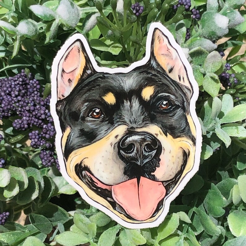 American Bully Dog Sticker - Etsy