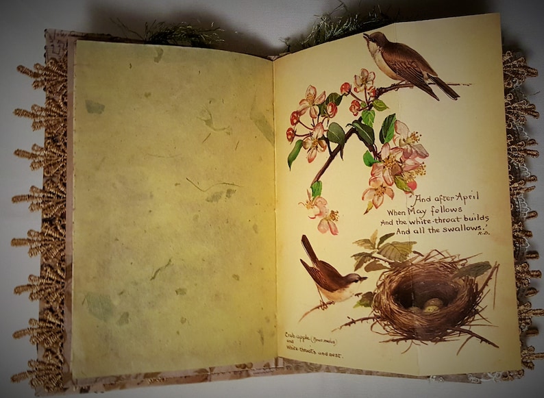 Edith Holden, Vintage Book Pages - Etsy