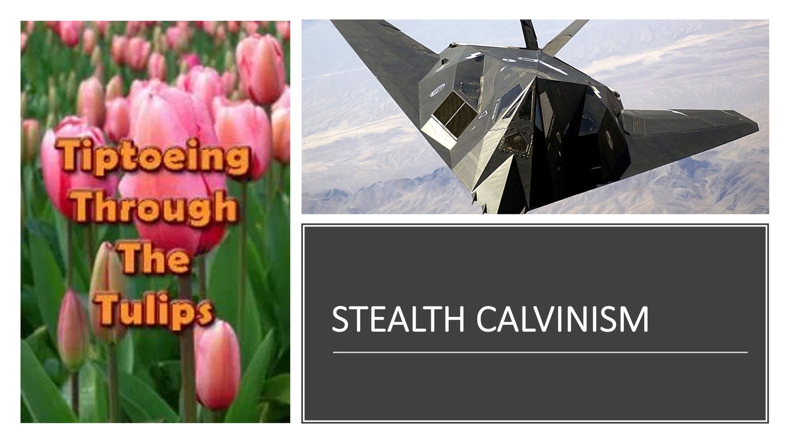 Calvinism Q&A My Pastor is a Calvinist. What Do I Do? - Etsy