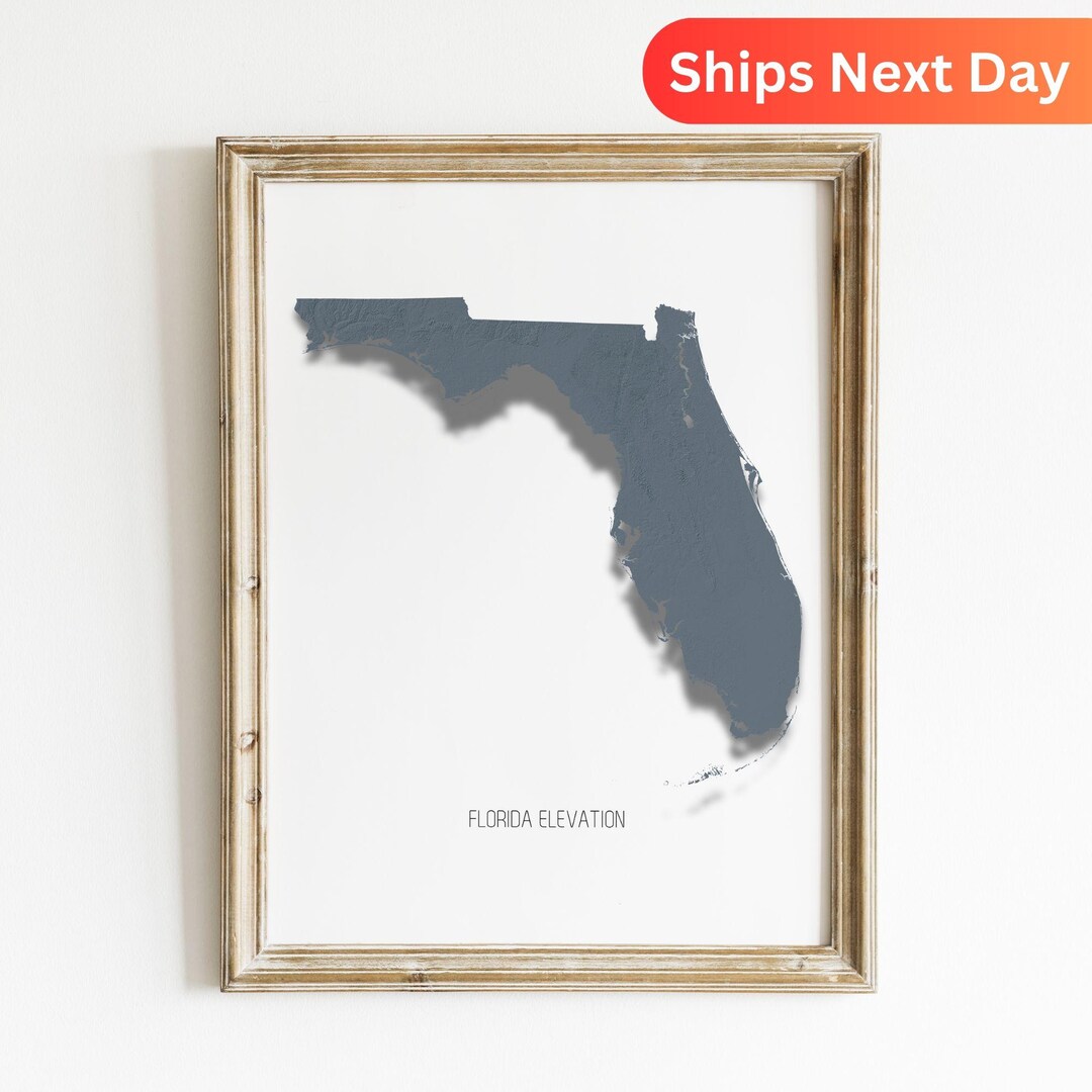 Florida Elevation Map of Florida Terrain Wall Art for Florida Nature ...