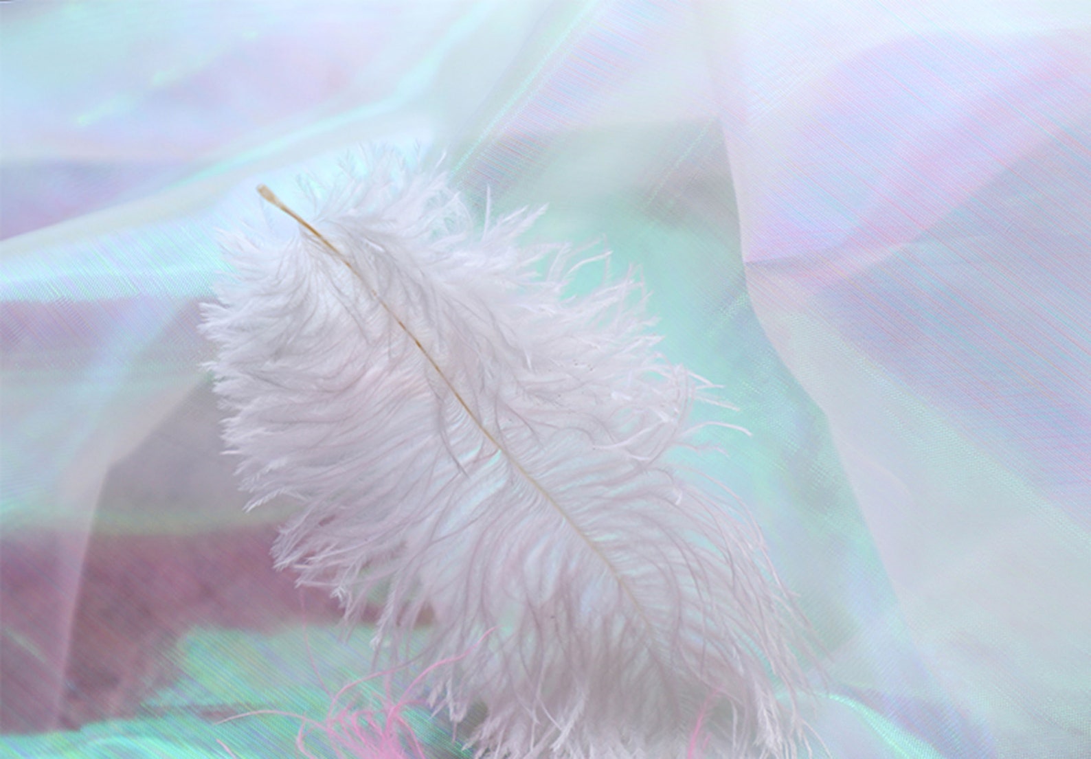 Psychedelic Laser Gauze Holographic Lace Fabric Transparent - Etsy