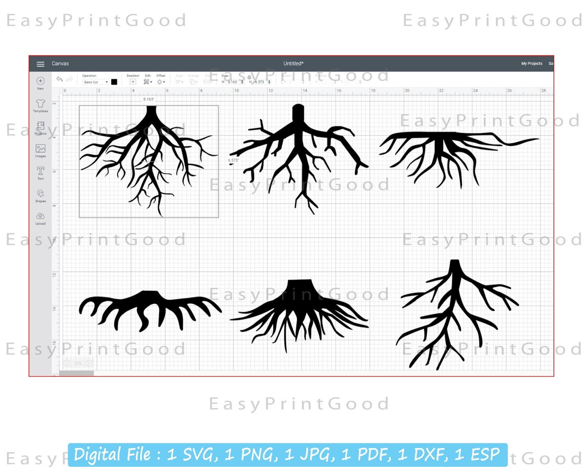 Roots Svg Tree Roots Svg Root Clipart Family Svg Root - Etsy UK