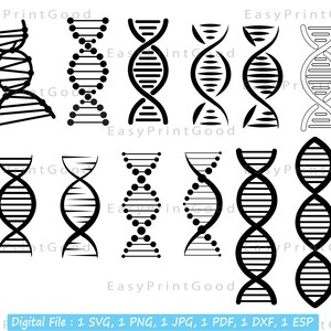 Dna Strand SVG Bundle, 15 Chromosome Laboratory Research, Dna, Genes ...