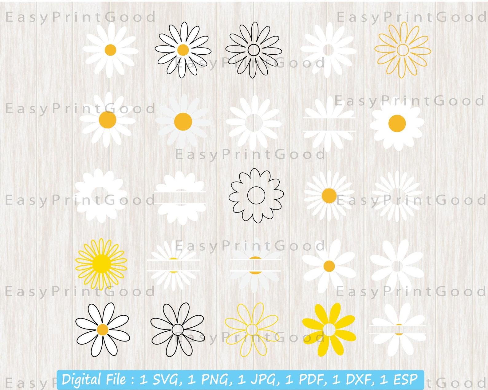 Daisy Bundle Svg Daisy SVG Flower SVG Floral SVG Spring - Etsy
