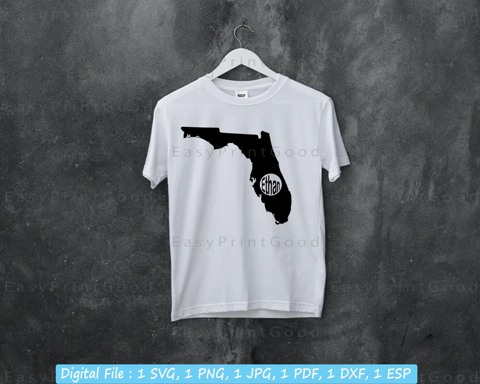 Florida State Svg Bundle Florida State Svg Florida State | Etsy