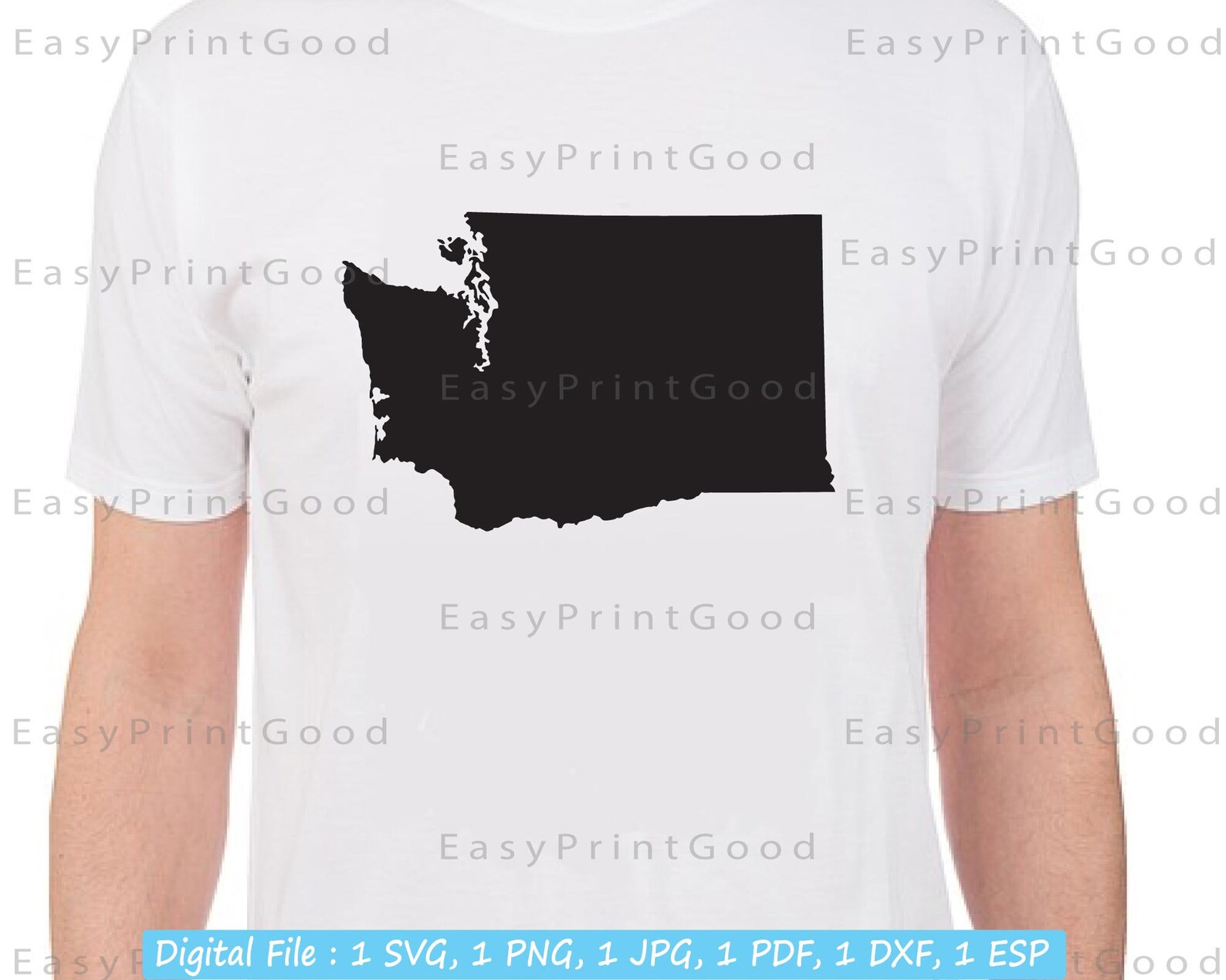 Washington Svg Bundle 15 Washington State Svg Washington - Etsy