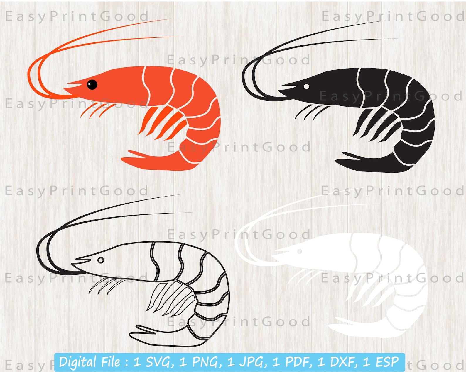 Shrimp Svg Prawn Svg Shrimp Clipart Shrimp Sea Animal Svg - Etsy