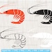 Shrimp Svg, Prawn Svg, Shrimp Clipart, Shrimp Sea Animal Svg ...