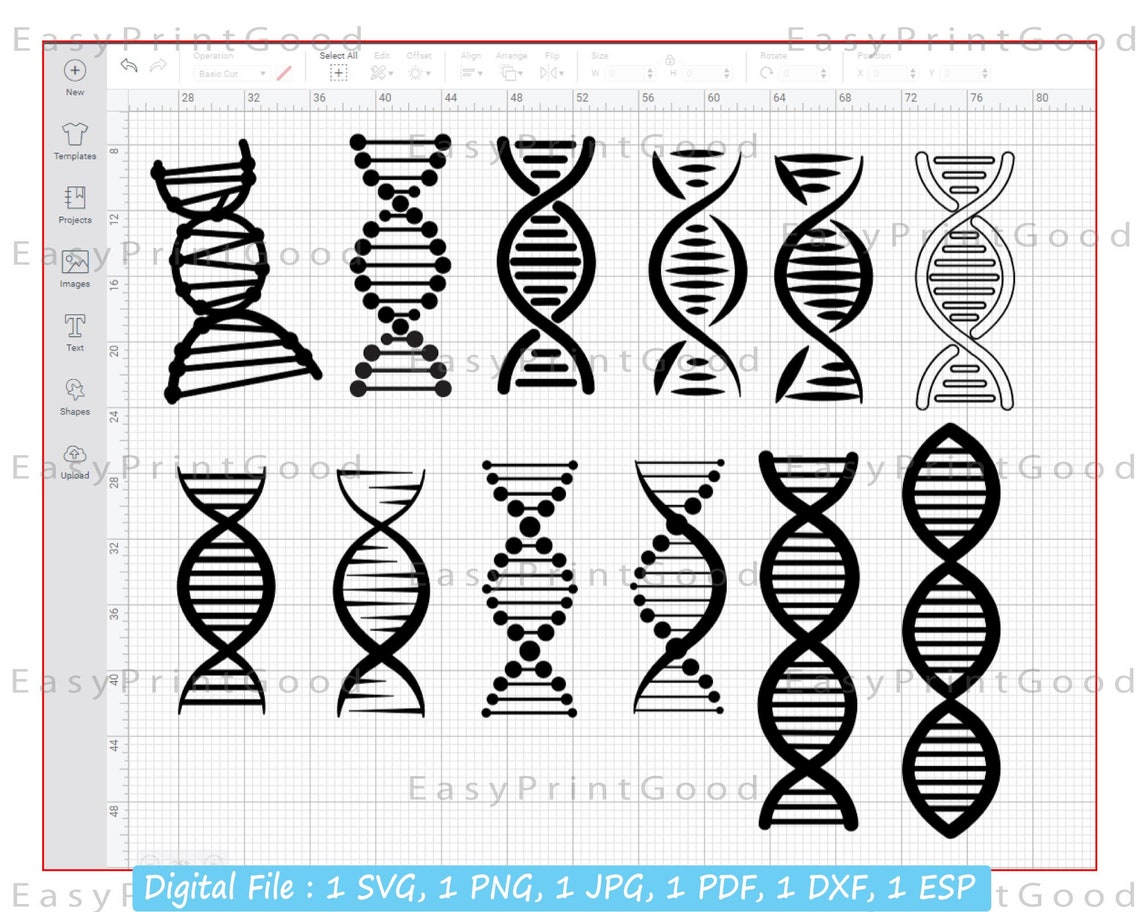 Dna Strand SVG Bundle 15 Chromosome Laboratory Research Dna - Etsy