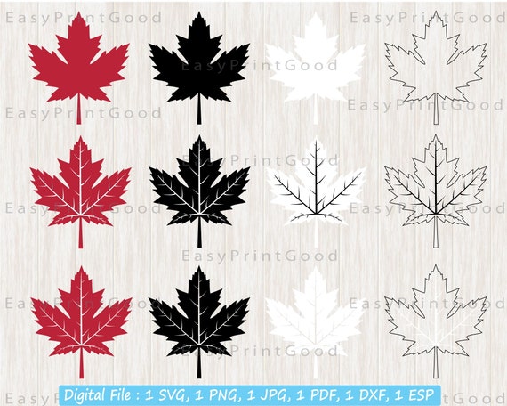 Canadian Maple Leaf Bundle Svg Maple Leaf Maple Leaf | Etsy