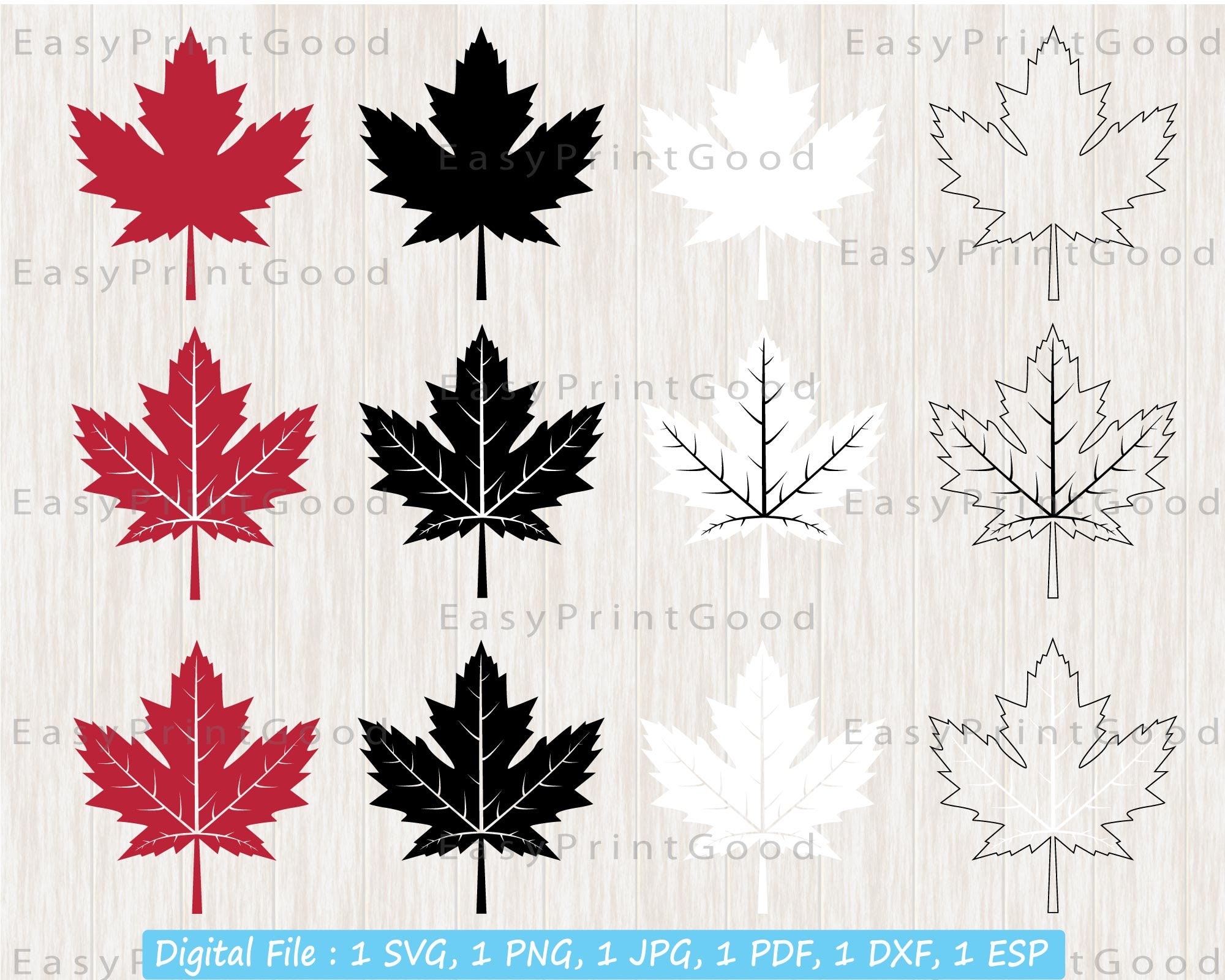 Maple Leaf Vector Art