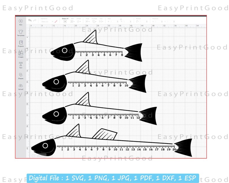 Fish Ruler Svg Fisherman's Ruler Fish Ruler Clipart - Etsy