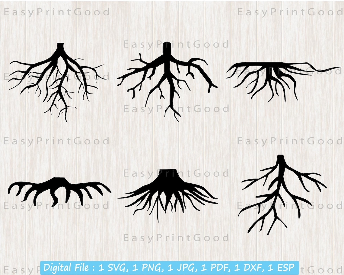 Roots Svg Tree Roots Svg Root Clipart Family Svg Root - Etsy UK
