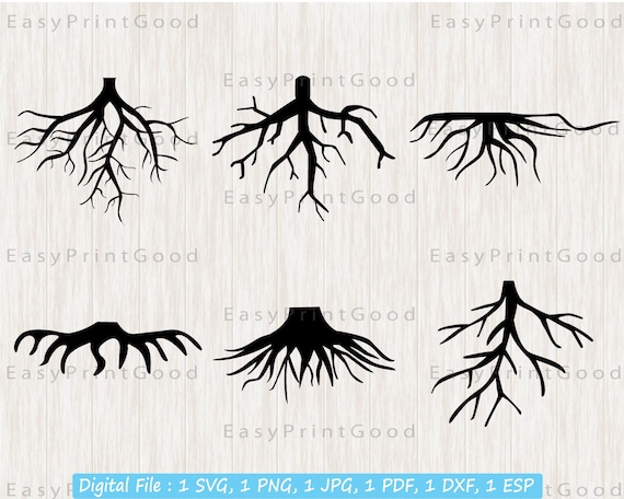 Simple Tree Root Clip Art