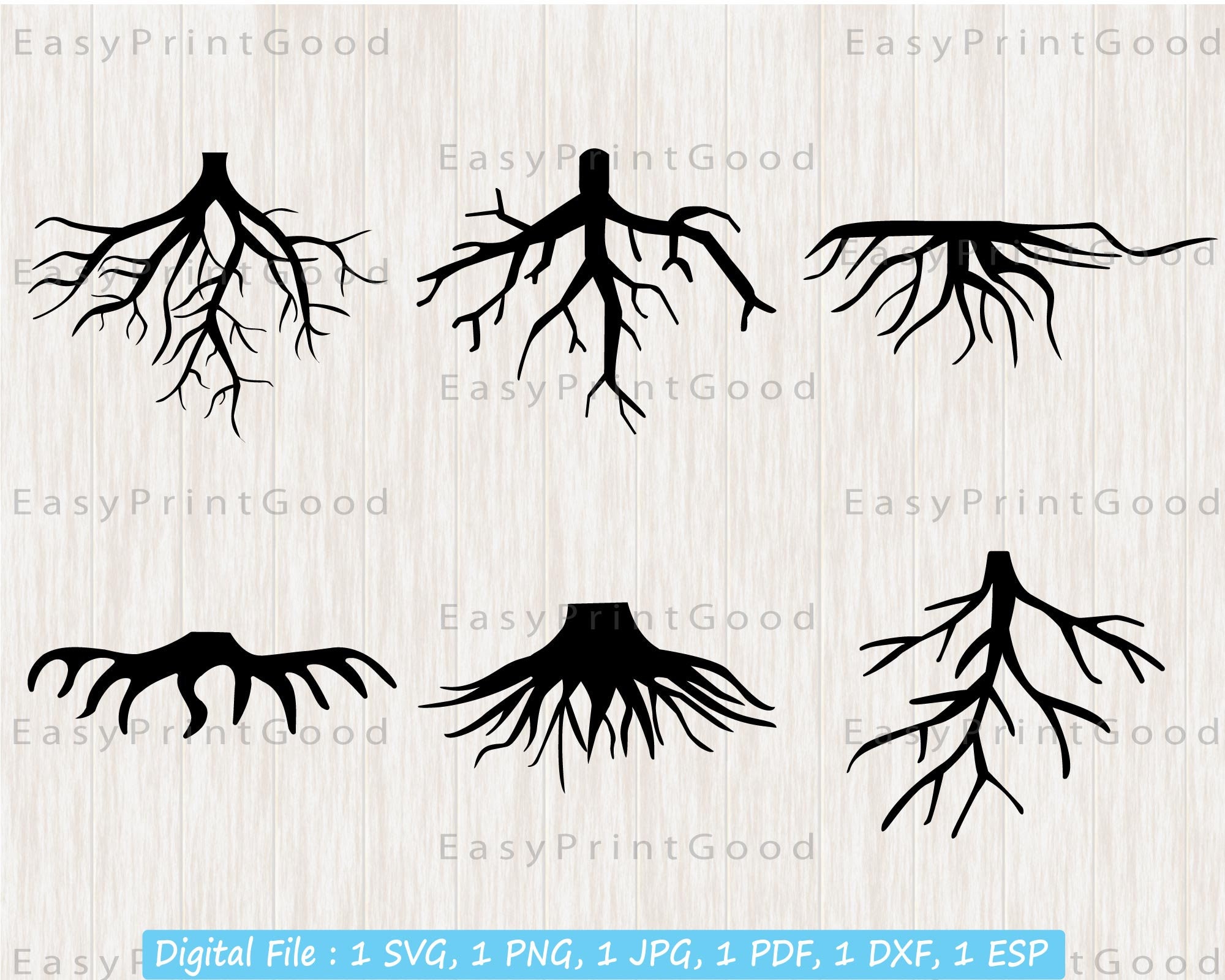 Tree Roots Vector Png