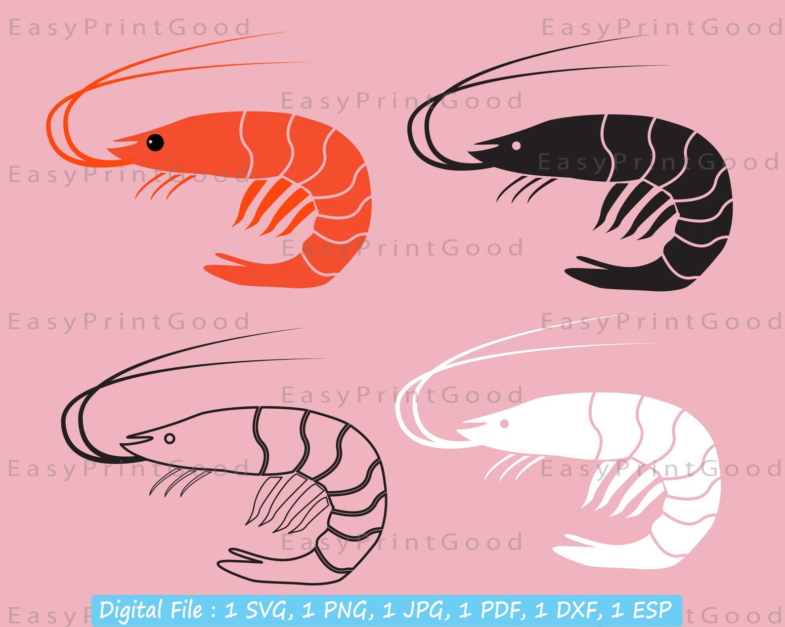 Shrimp Svg, Prawn Svg, Shrimp Clipart, Shrimp Sea Animal Svg ...