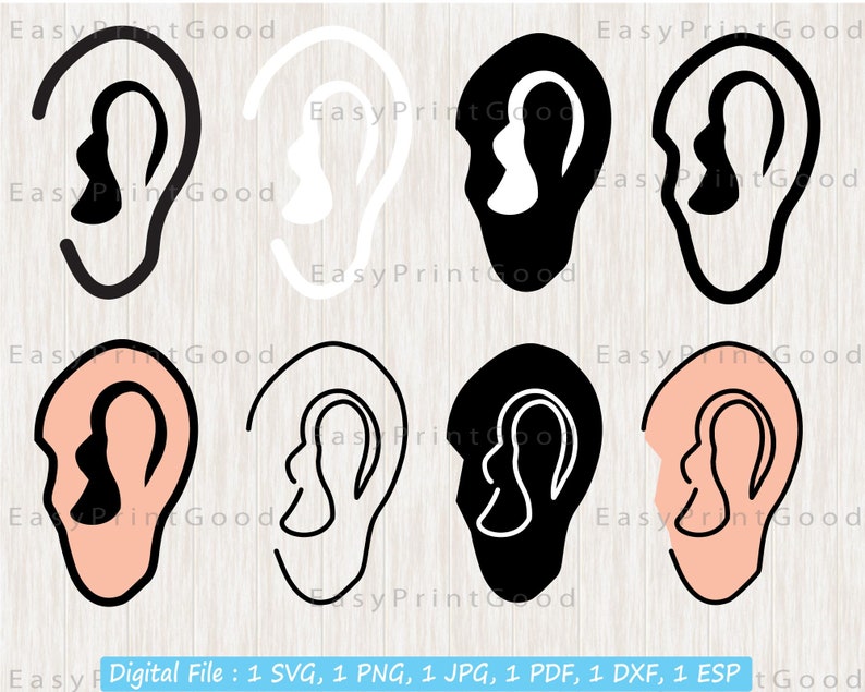 Human Ear Svg Ear Svg Human Ear Clipart Ear Clipart Ear - Etsy Canada