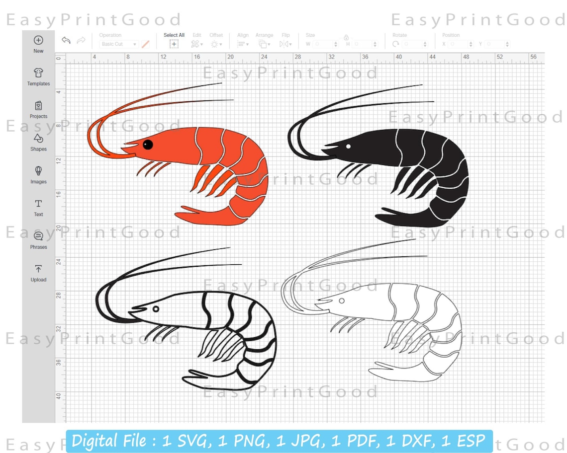 Shrimp Svg Prawn Svg Shrimp Clipart Shrimp Sea Animal Svg - Etsy