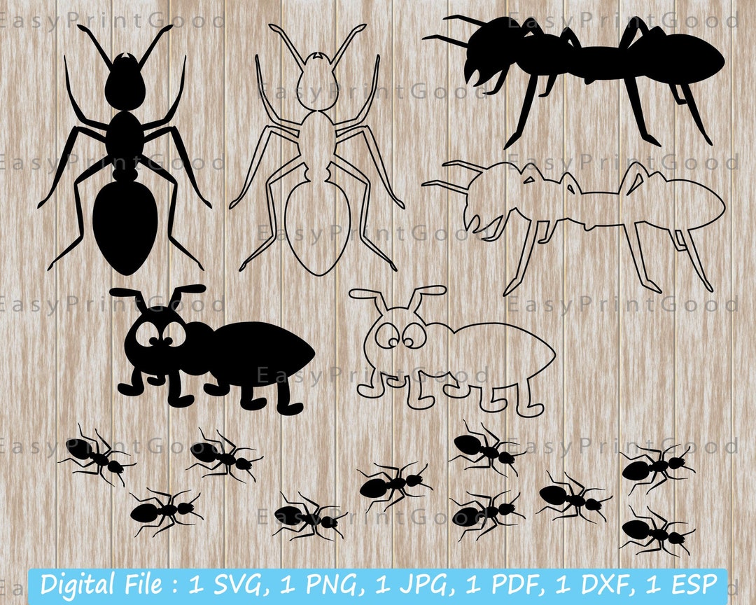 Ant Svg, Insect Svg, Ant Clipart, Ant Vector, Ants Bundle, Ant Cut ...
