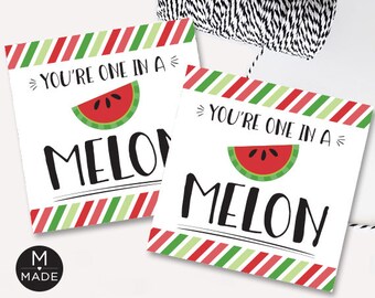 You're One in a Melon Watermelon Gift Tag Favor Tag - Etsy