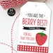 You Are the Berry Best Strawberry Thank You Tags Gift Tag - Etsy