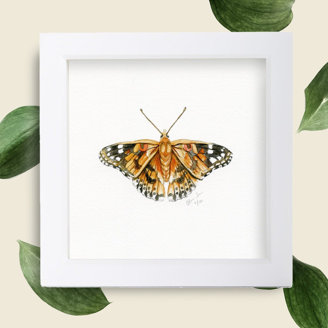 Painted Lady Butterfly Limited Edition Sustainable Fine Art Print - Etsy