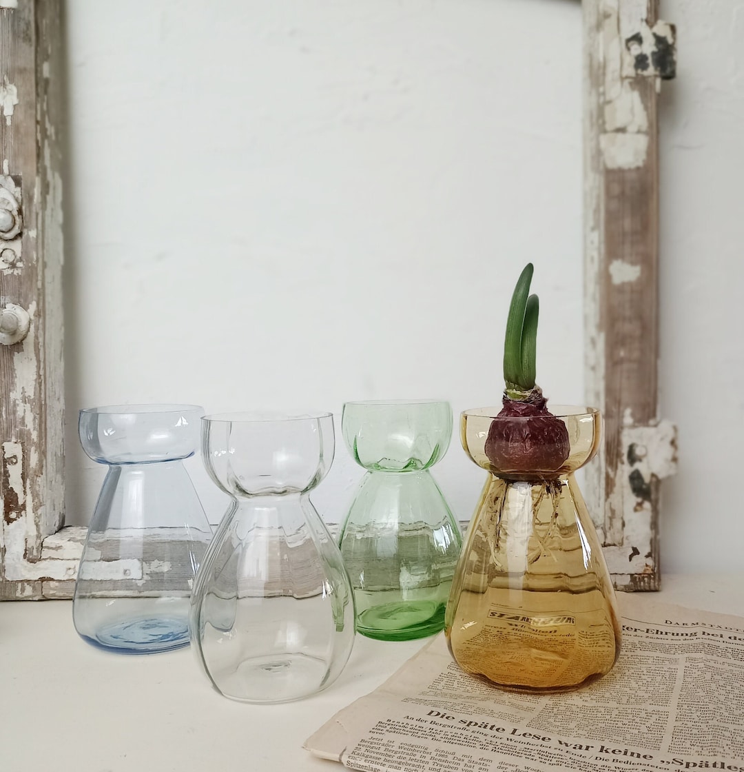 Old Hyacinth Glass Made of Fine Glass Vintage Flower Glass Onion Glass ...