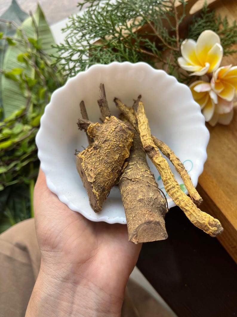 Salacia Oblonga, Saptarangi Root, Saptrangi, Saptaranj - Etsy