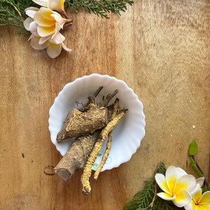 Salacia Oblonga, Saptarangi Root, Saptrangi, Saptaranj - Etsy