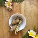 Salacia Oblonga, Saptarangi Root, Saptrangi, Saptaranj - Etsy