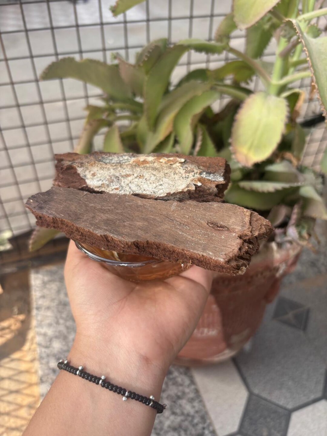Organic Peepal Bark Powder, Ficus Religiosa - Etsy