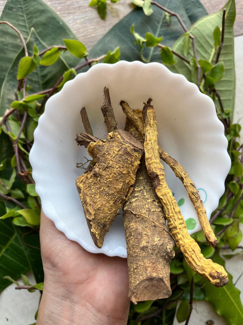 Salacia Oblonga, Saptarangi Root, Saptrangi, Saptaranj - Etsy