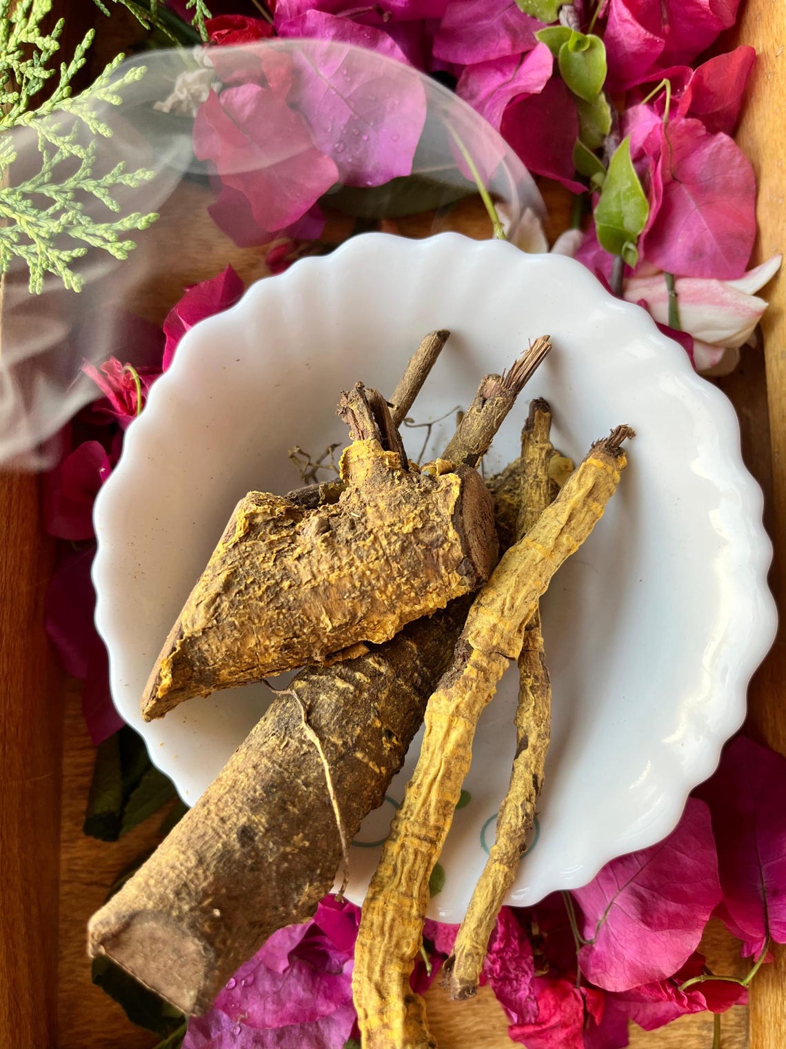 Salacia Oblonga, Saptarangi Root, Saptrangi, Saptaranj - Etsy