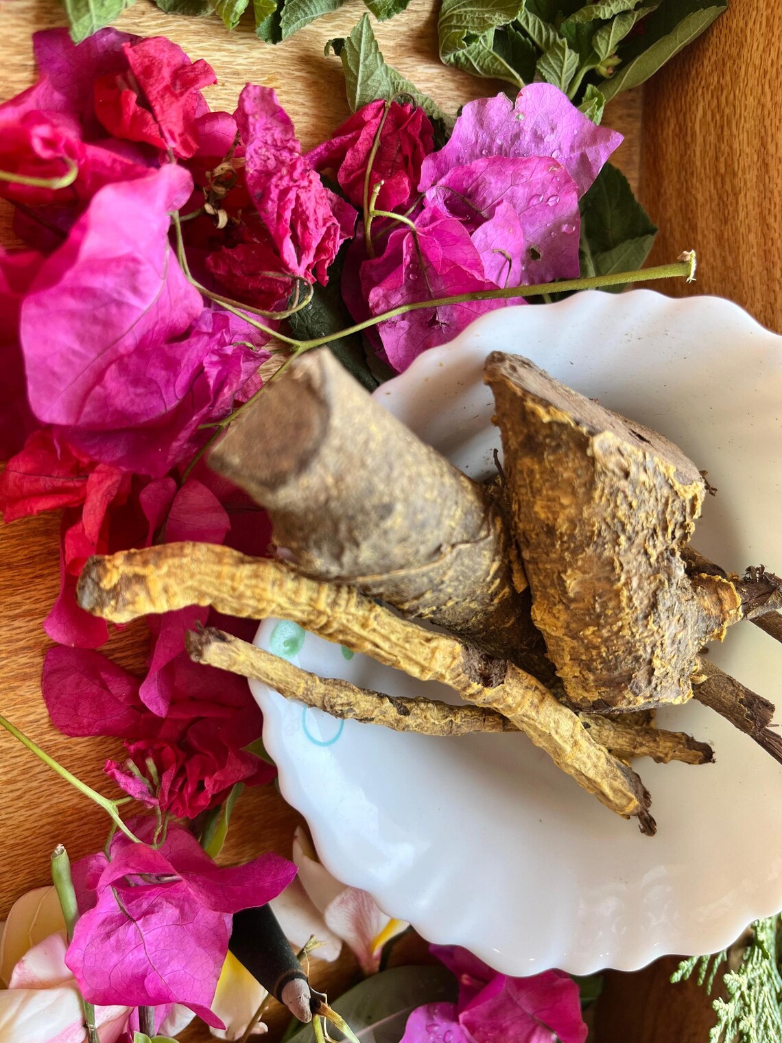 Salacia Oblonga, Saptarangi Root, Saptrangi, Saptaranj - Etsy