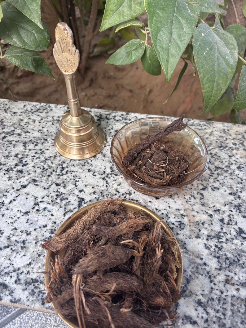 Organic Jatamansi Root, Indian Spikenard Herb, Balchar - Etsy