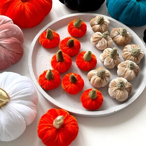 Mini Velvet Pumpkins Orange Beige Tier Tray Decor Ideas Fall Decor for ...
