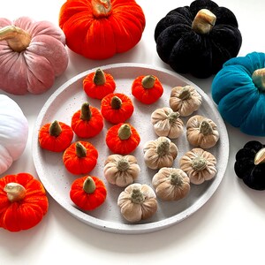 Mini Velvet Pumpkins Orange Beige Tier Tray Decor Ideas Fall Decor for ...