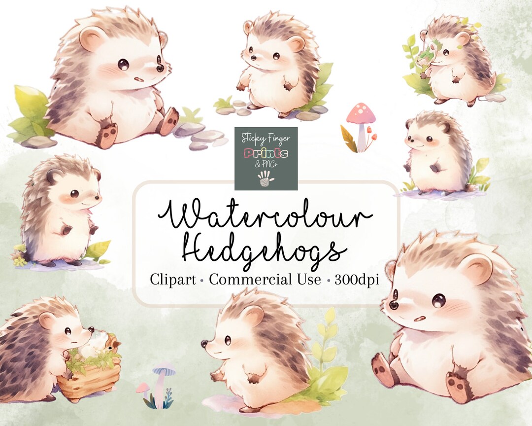 Watercolor Baby Hedgehog Clipart Set With Bonus Woodland Elements ...