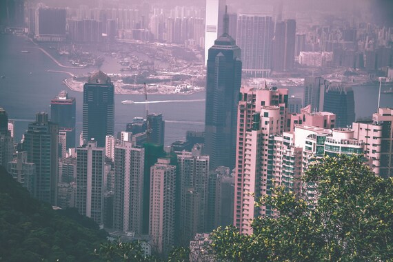 Prints of Mount Victoria View - Etsy