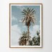Set of Two Palm Tree Prints // Palm Tree Wall Art// Set of 2 Prints ...