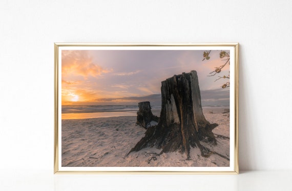 Florida Beach Sunset Print // Florida Beach Naples Sunset // - Etsy