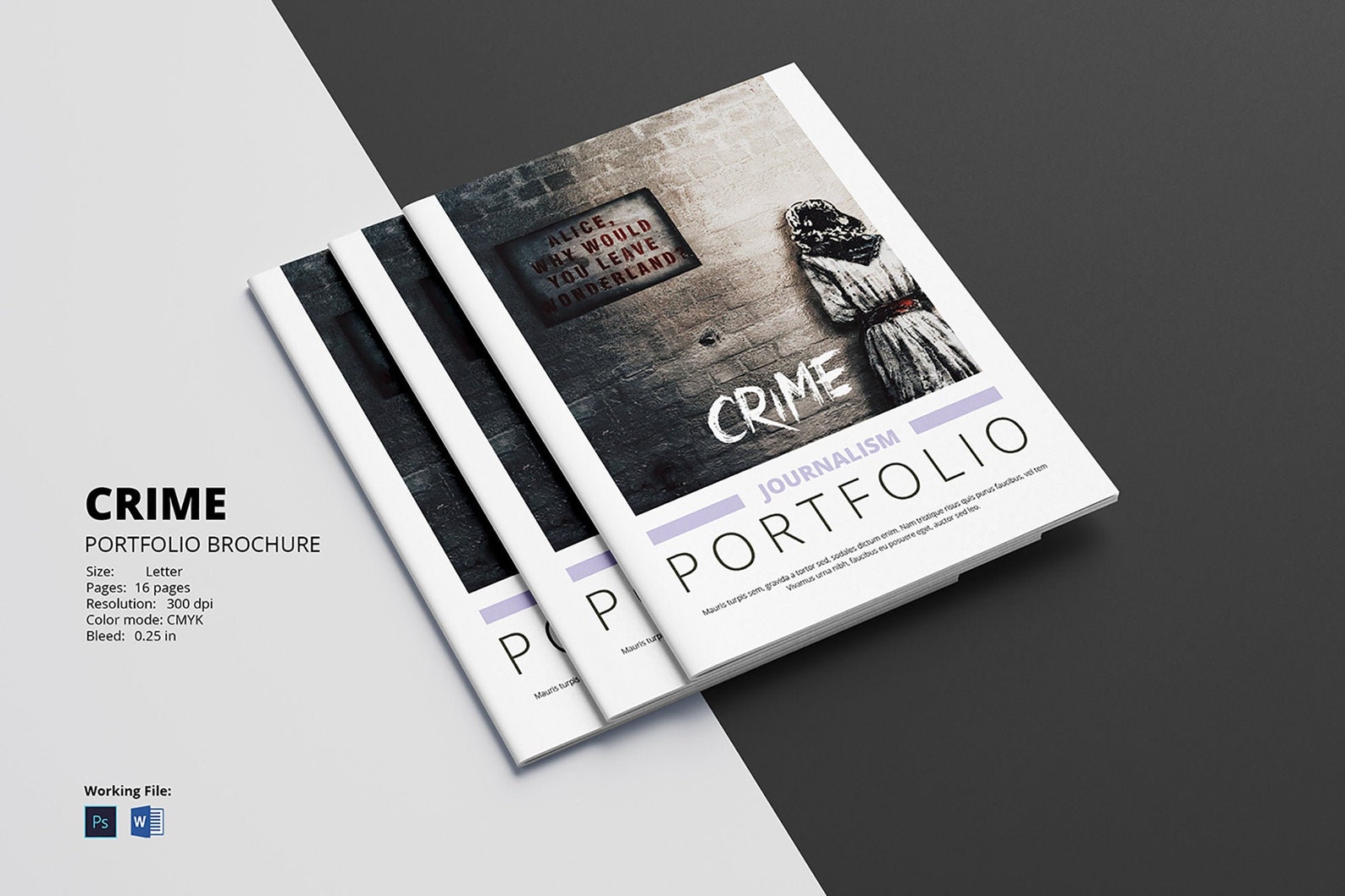 Crime Portfolio Brochure MS Word & Photoshop Template Instant Download ...