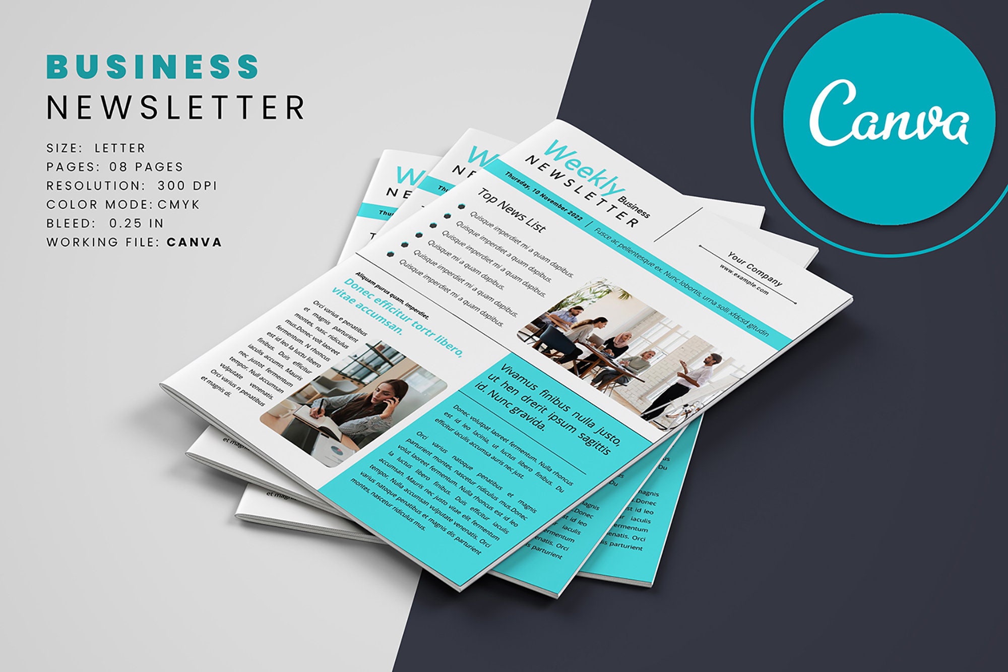 Business Newsletter Template Canva File Instant Download - Etsy