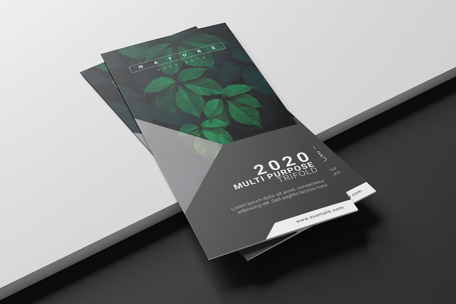 Multi Purpose Trifold Brochure - Etsy