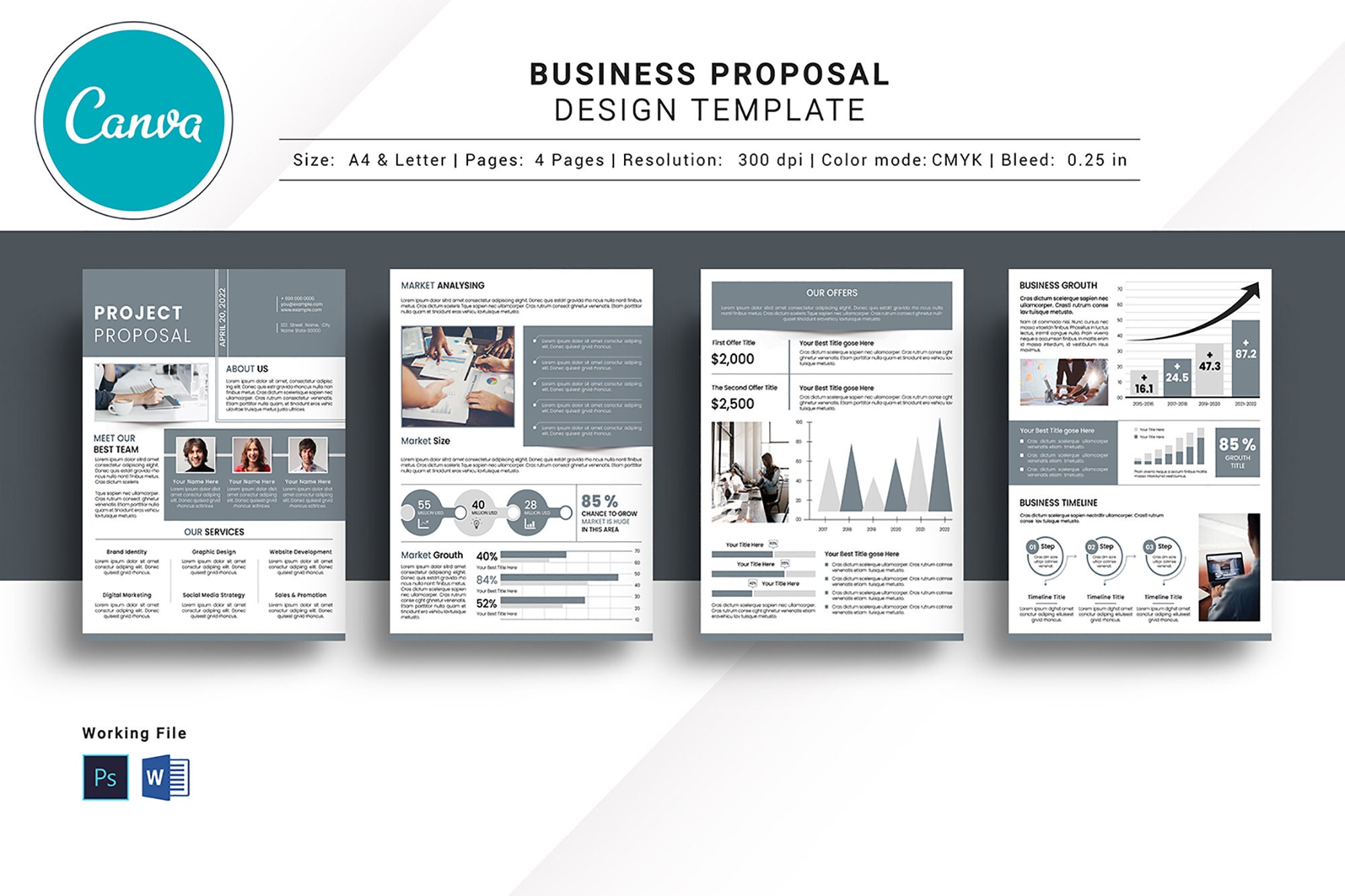 Business Proposal Template | MS Word & Photoshop Template | Instant ...