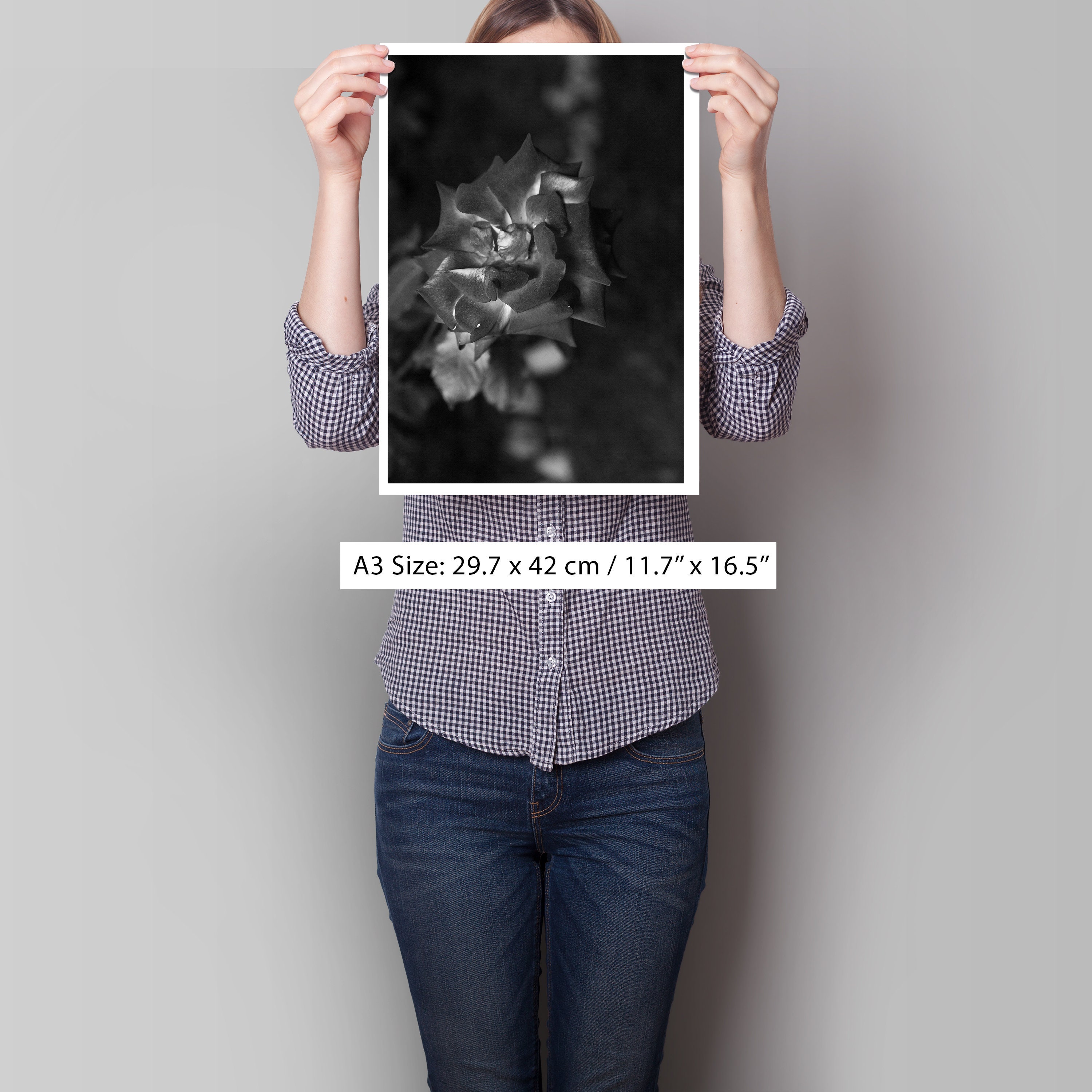 Fine Art Photography - High Resolution - Flower Poster Print - Still ...