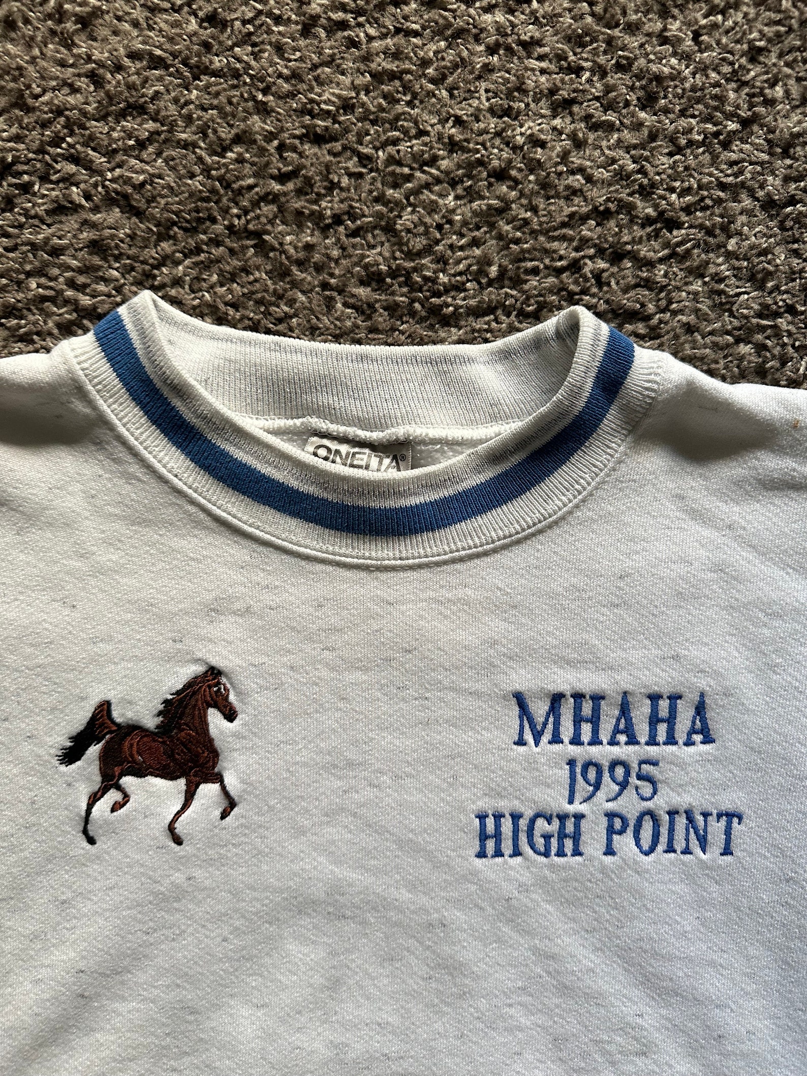 Vintage 1995 MAHA Minnesota Half Arabian Horse Association Gray ...