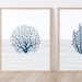 Coral Art - Coastal Wall Art / Room Decor, Coastal Poster, Boho Coral ...